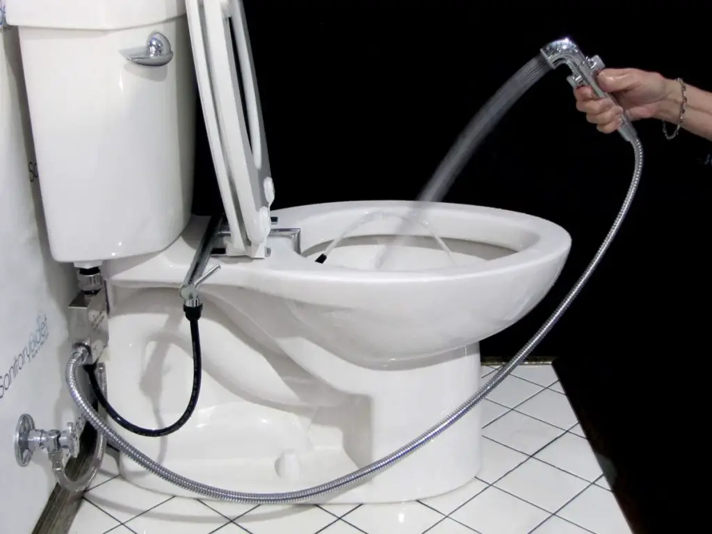 5 Best Bidet Toilet Combos - (2021 Reviews & Buyer's Guide)