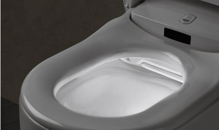 5 Best Bidet Toilet Combos - (2021 Reviews & Buyer's Guide)