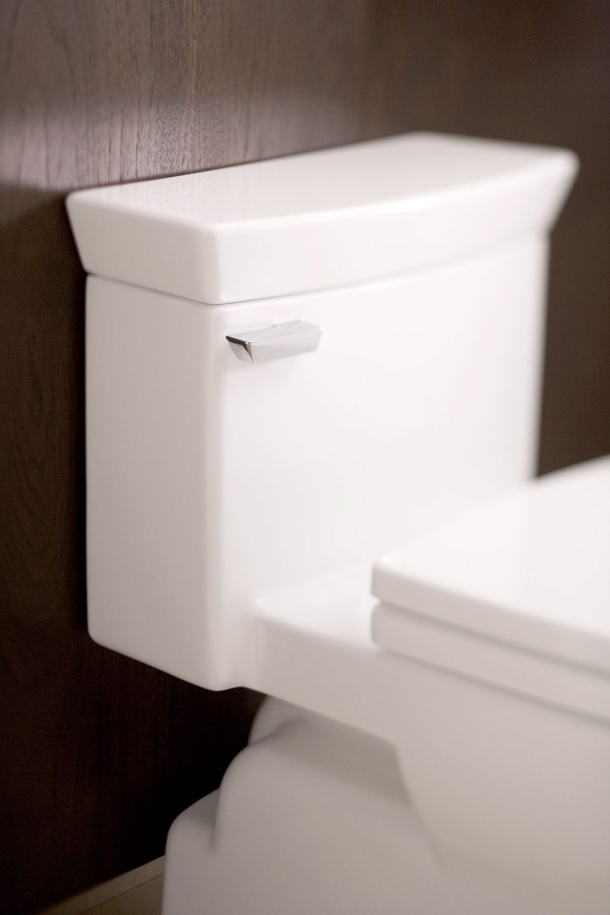 TOTO Eco Soiree Review - Is It More Than Just A Sleek Design?