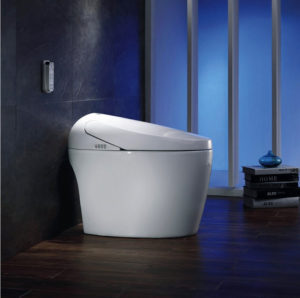 10 Best Tankless Toilets of 2020 [Smart & Dual Flush]