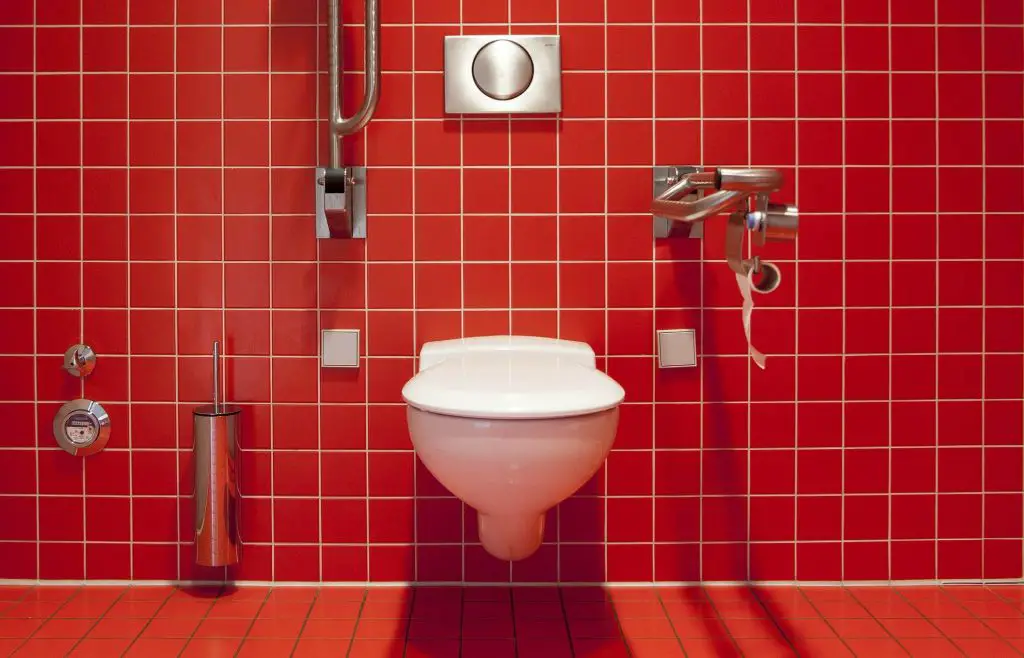 How to Unclog a Toilet With Poop In It [5 Proven Methods]
