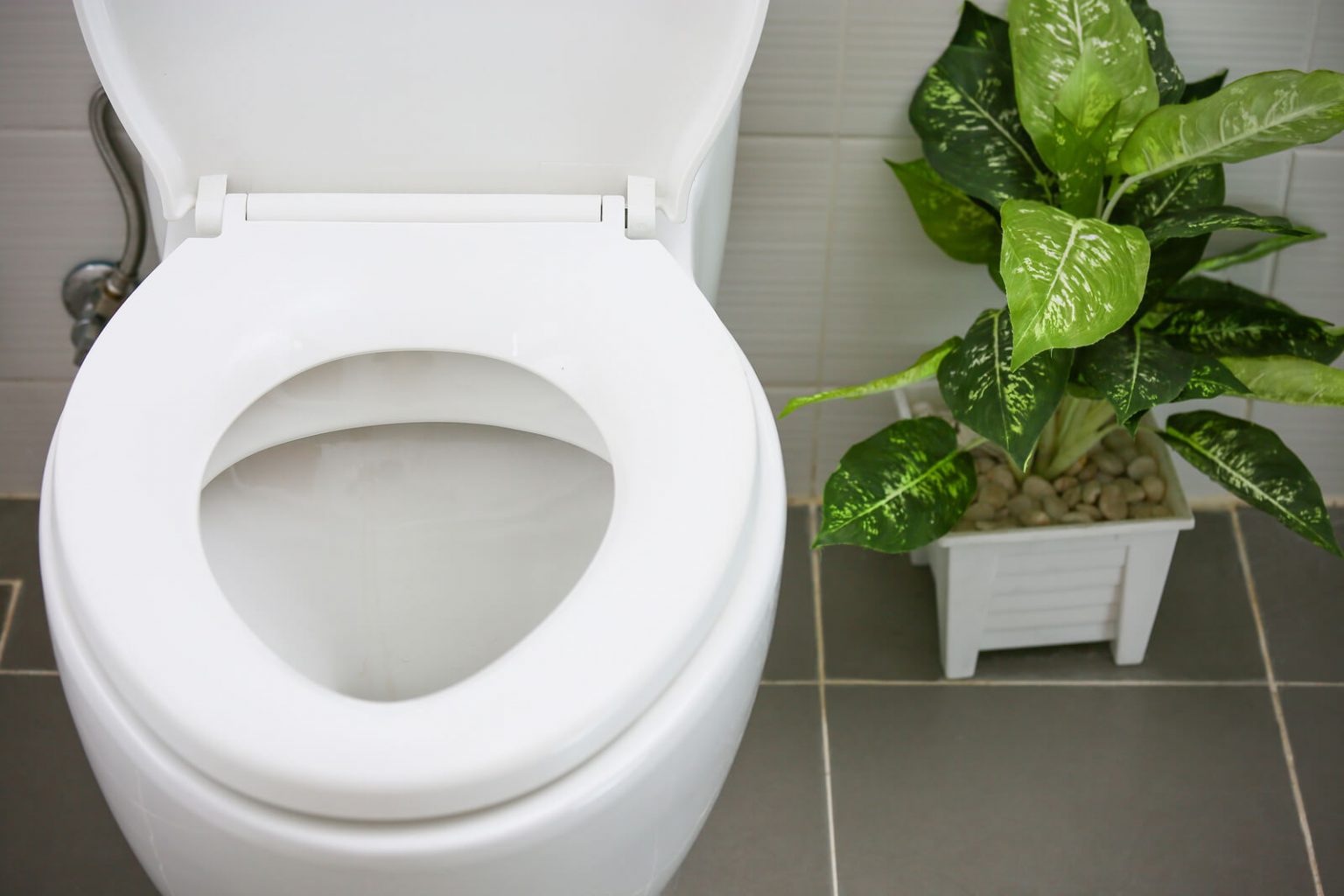 Single Flush vs. Dual Flush Toilets - Which One Is Right For Me ...