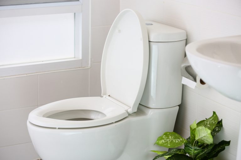 The 5 Best Pressure-Assist Toilets - [Reviews & Rankings]