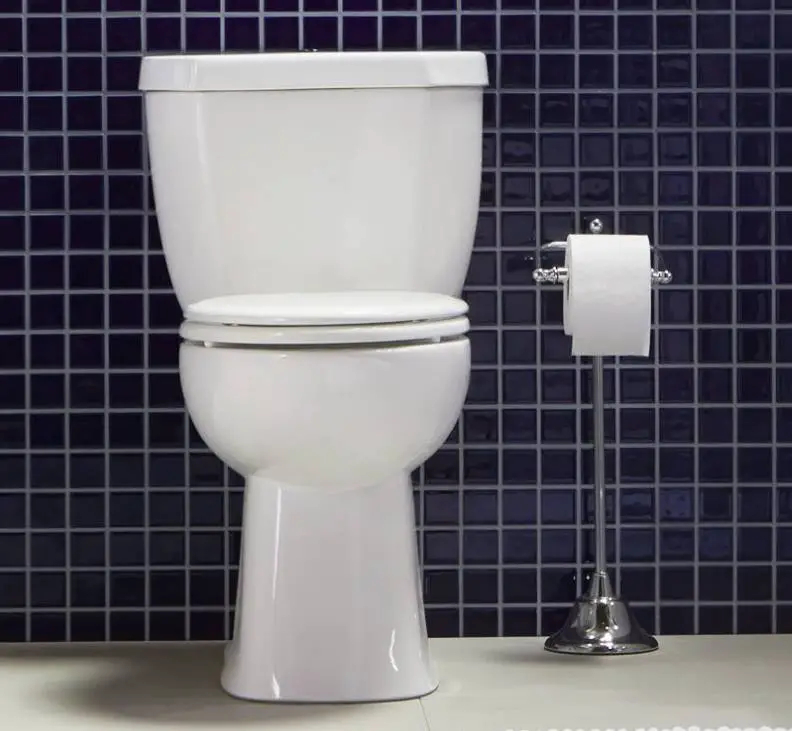 Niagara Stealth Toilet Review - Best Single Flush Toilet Out?