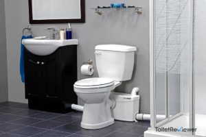 Liberty Pumps Ascent II Review - Why Is It Better Than Other Toilets ...