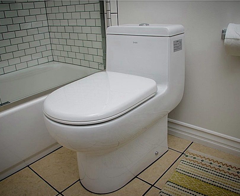 EAGO TB351 Review - Is It A Game Changing Toilet?