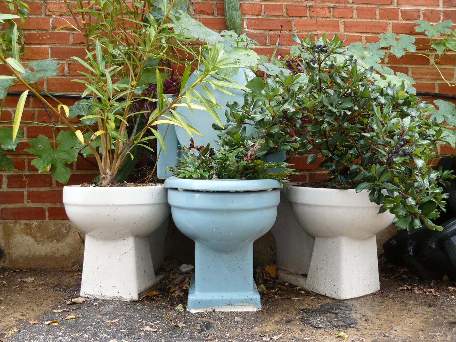 How to Dispose of a Toilet (and The Proper Way to Do It) - Toilet Reviewer